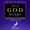 [Audiobook] When God Winks – How the Power of Coincidence Guides Your ...
